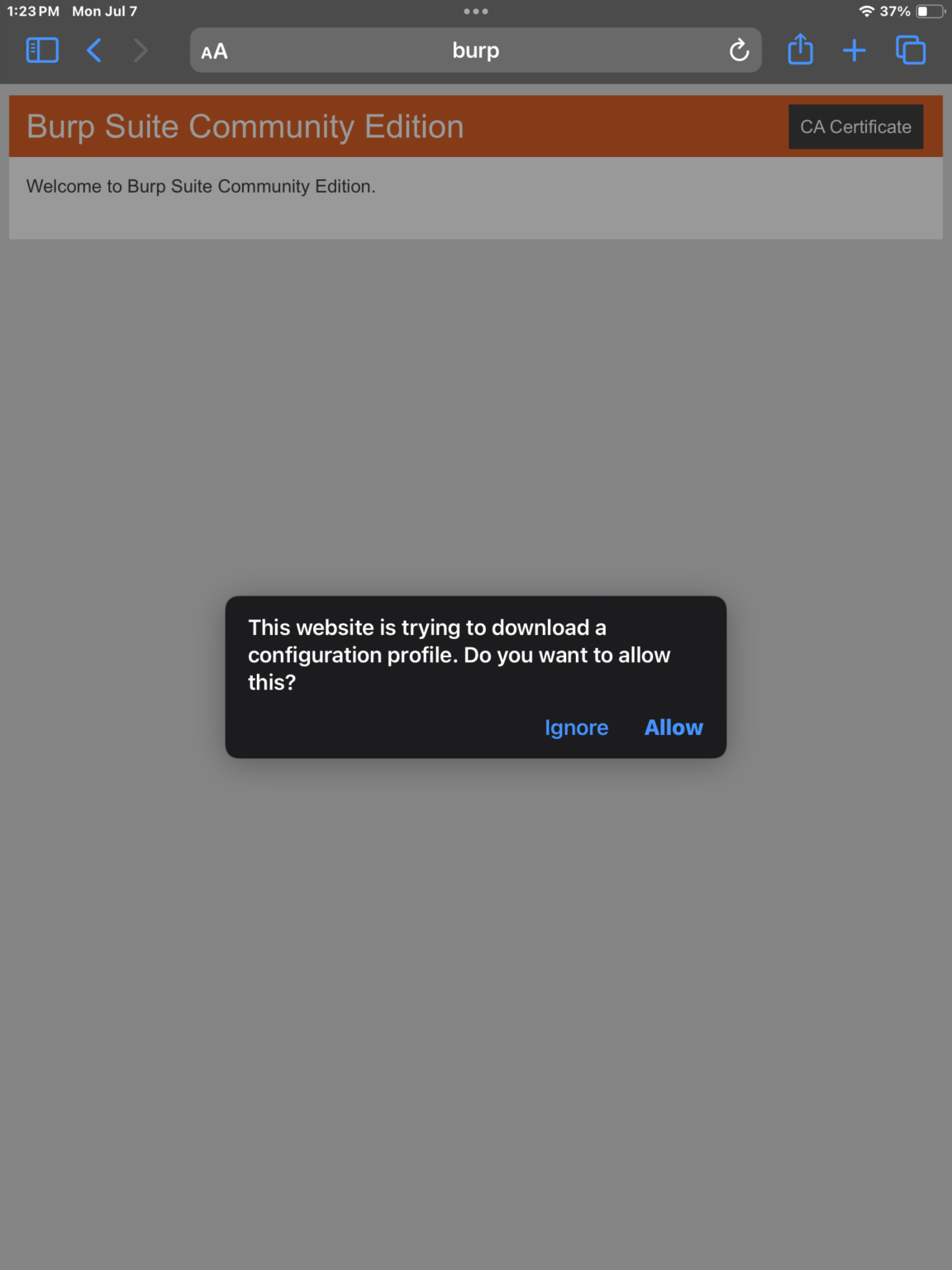 Configuring iOS Device with Burp Suite